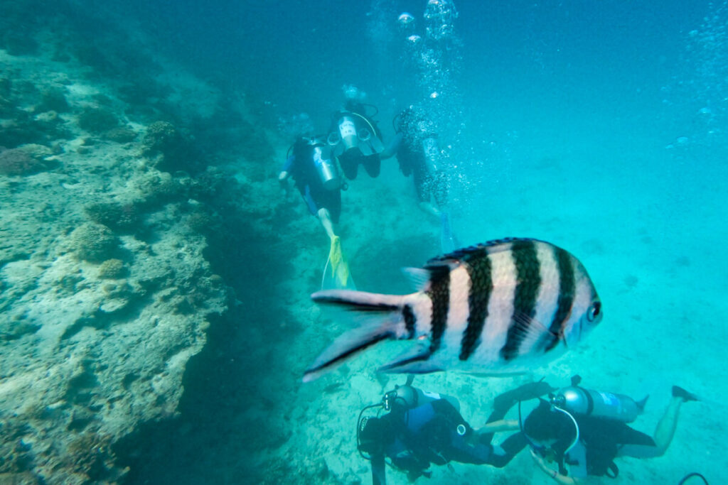 What to do in Hurghada Activities, visits & practical guide