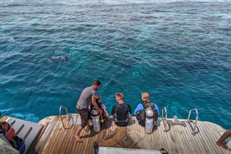 What to do in Hurghada Activities, visits & practical guide